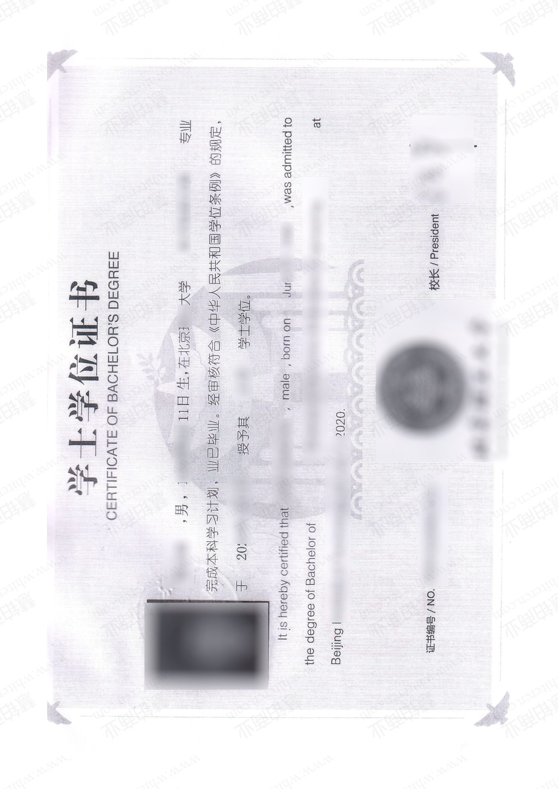 How to get a Degree Certificate/Transcript notarized and apostilled in ...